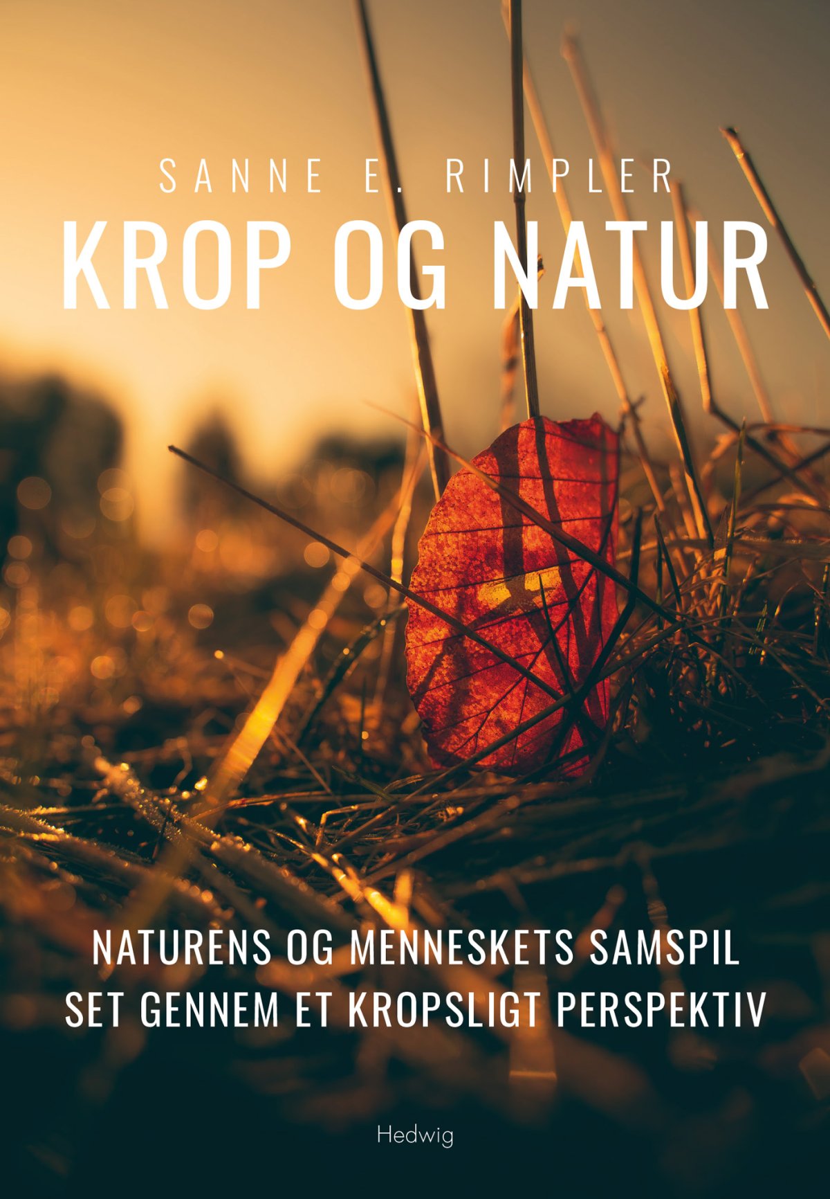 KROP OG NATUR - Naturens og menneskets samspil set gennem et kropsligt ...